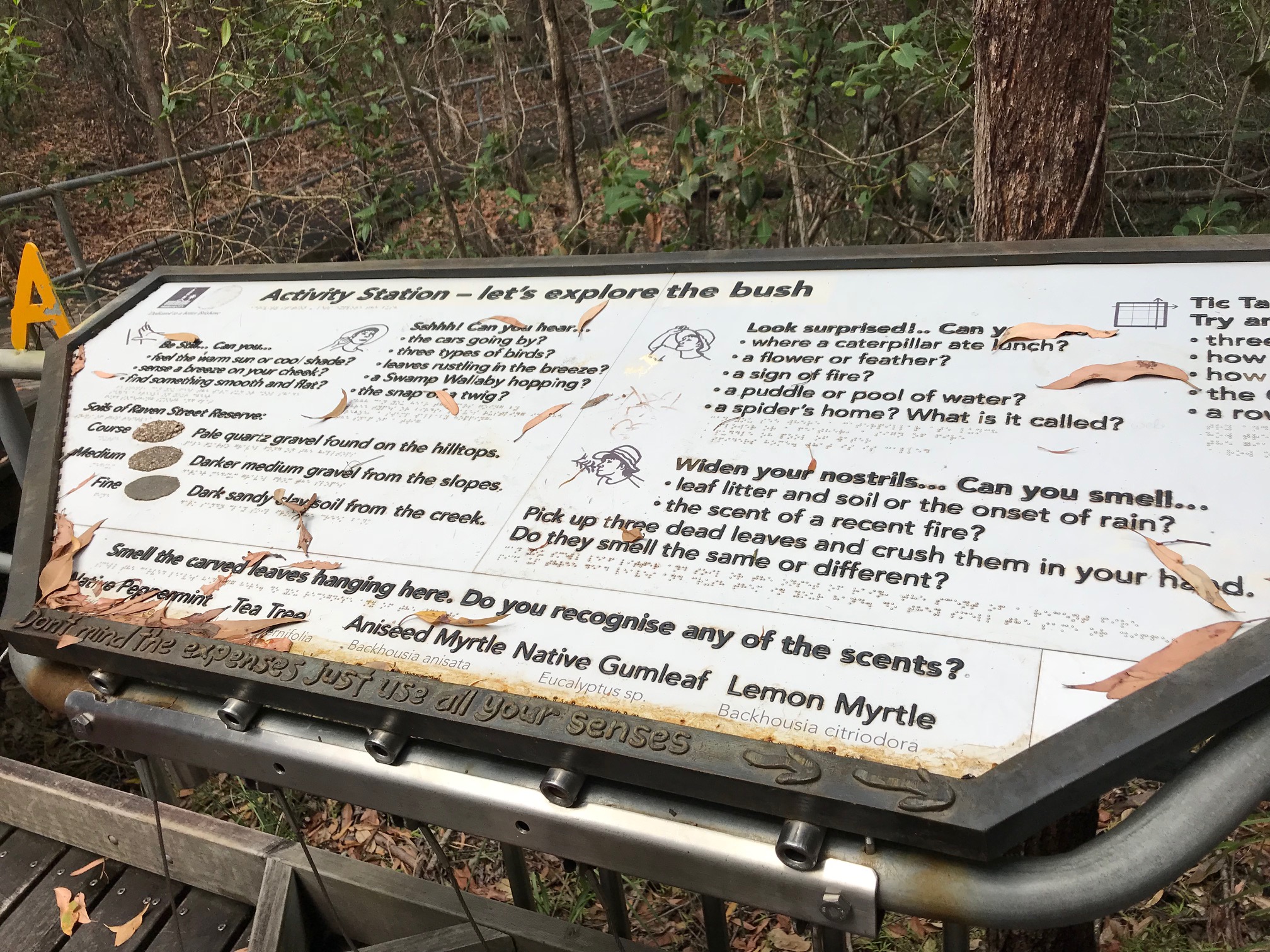 Braille in public spaces – Australian Braille Authority
